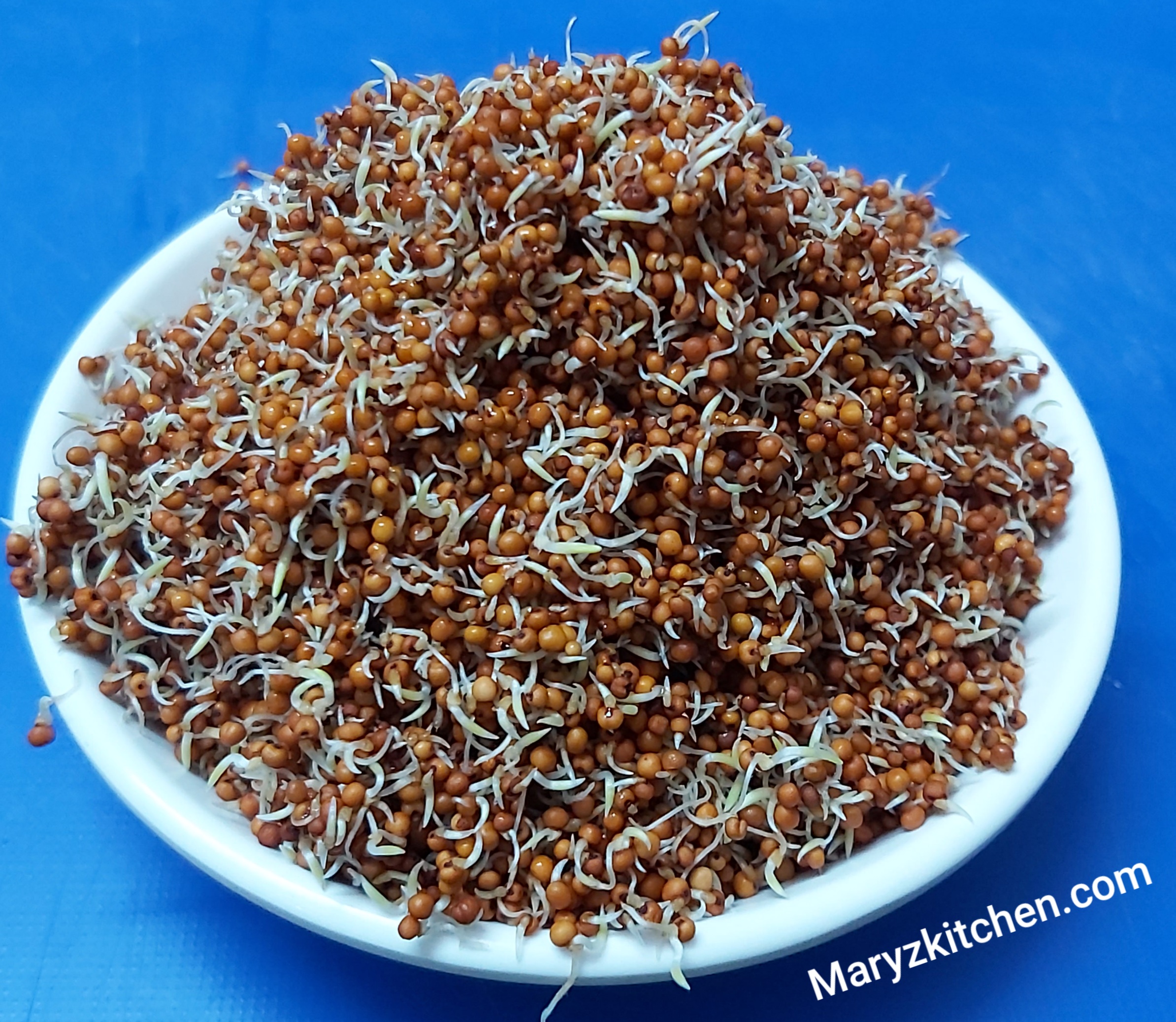 How To Sprout Ragi And Use It Mary s Kitchen